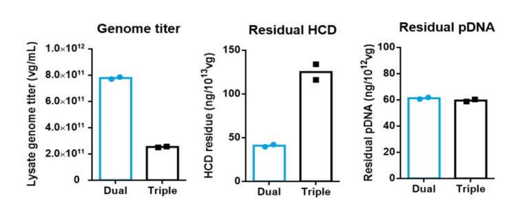 Innovations in AAV Production: Leveraging High-Yield Cell Lines, novel ...