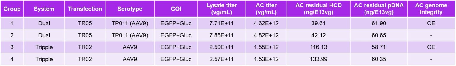 Innovations in AAV Production: Leveraging High-Yield Cell Lines, novel ...