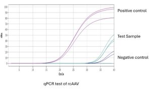 Overview of Key AAV Analytical Testing for Gene Therapy Development ...