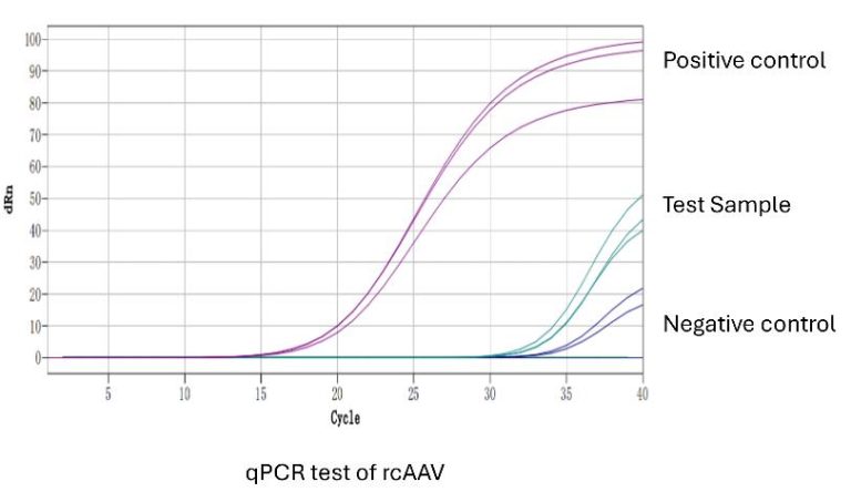 Overview of Key AAV Analytical Testing for Gene Therapy Development ...