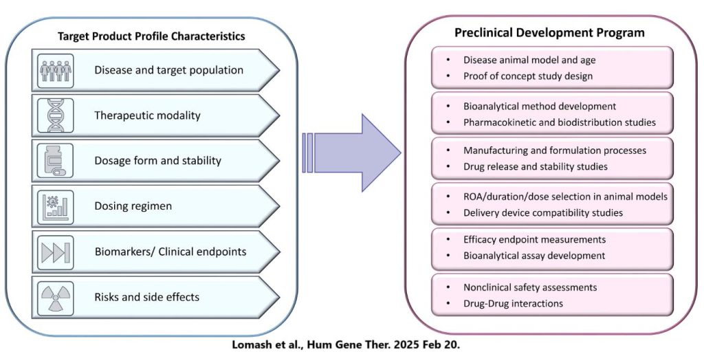 Case Study: Developing Target Product Profiles (TPPs) for AAV-Based ...