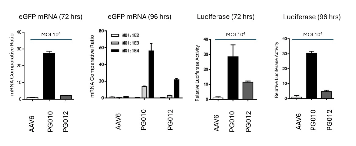 AAV Capsid Engineering | PackGene Biotech