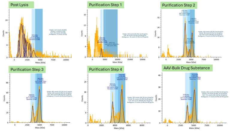 AAV Vector Characterization: Analytical Methods for Full, Empty and ...