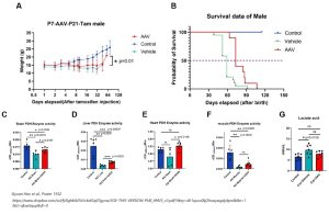 ASGCT 2025: Insights from Featured Talks and Posters | PackGene Biotech