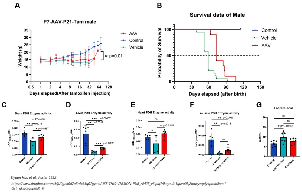 ASGCT 2025: Insights from Featured Talks and Posters | PackGene Biotech