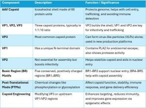 From Discovery to Clinical Impact: The Evolution of AAV Vector ...